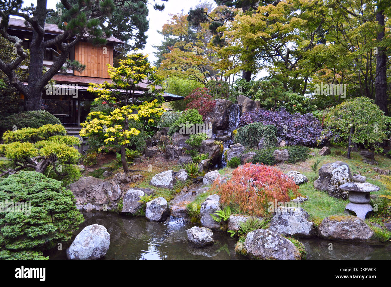 Japanese Tea Garden Stock Photo - Alamy