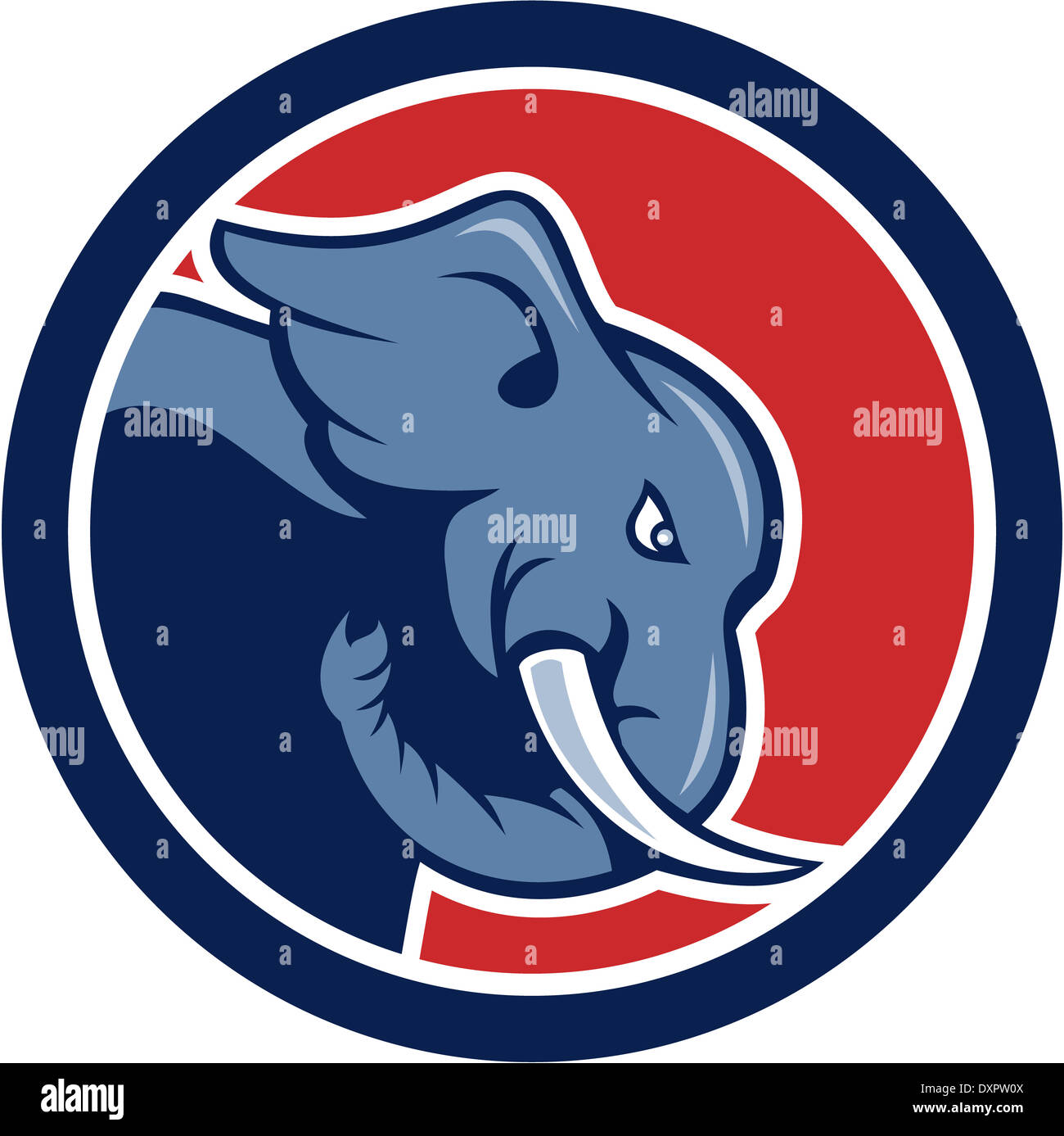 Elephant circle hi-res stock photography and images - Alamy