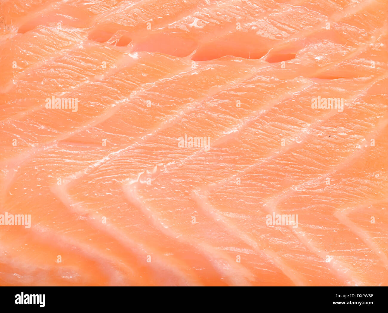 red fish background Stock Photo - Alamy