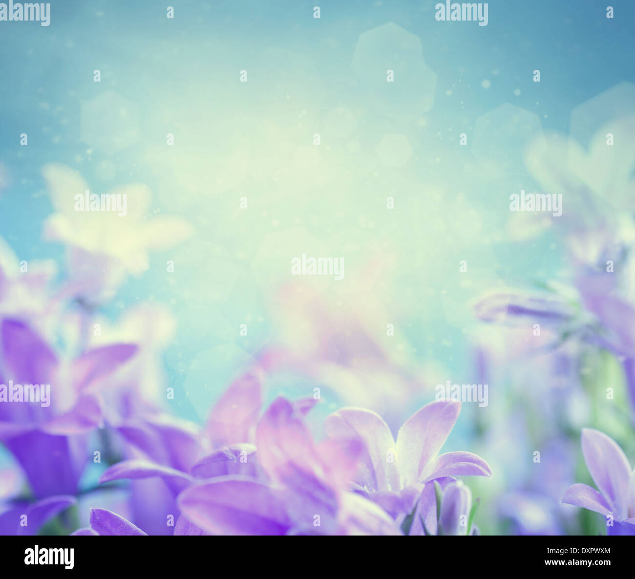 Design flowers background. Spring or summer floral nature background ...