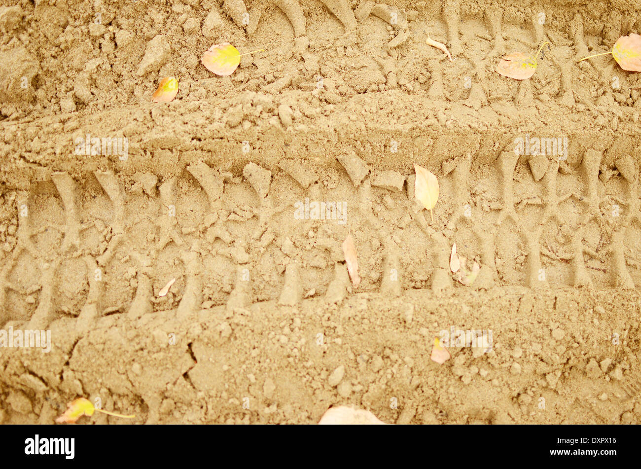 car tire track in the sand Stock Photo - Alamy