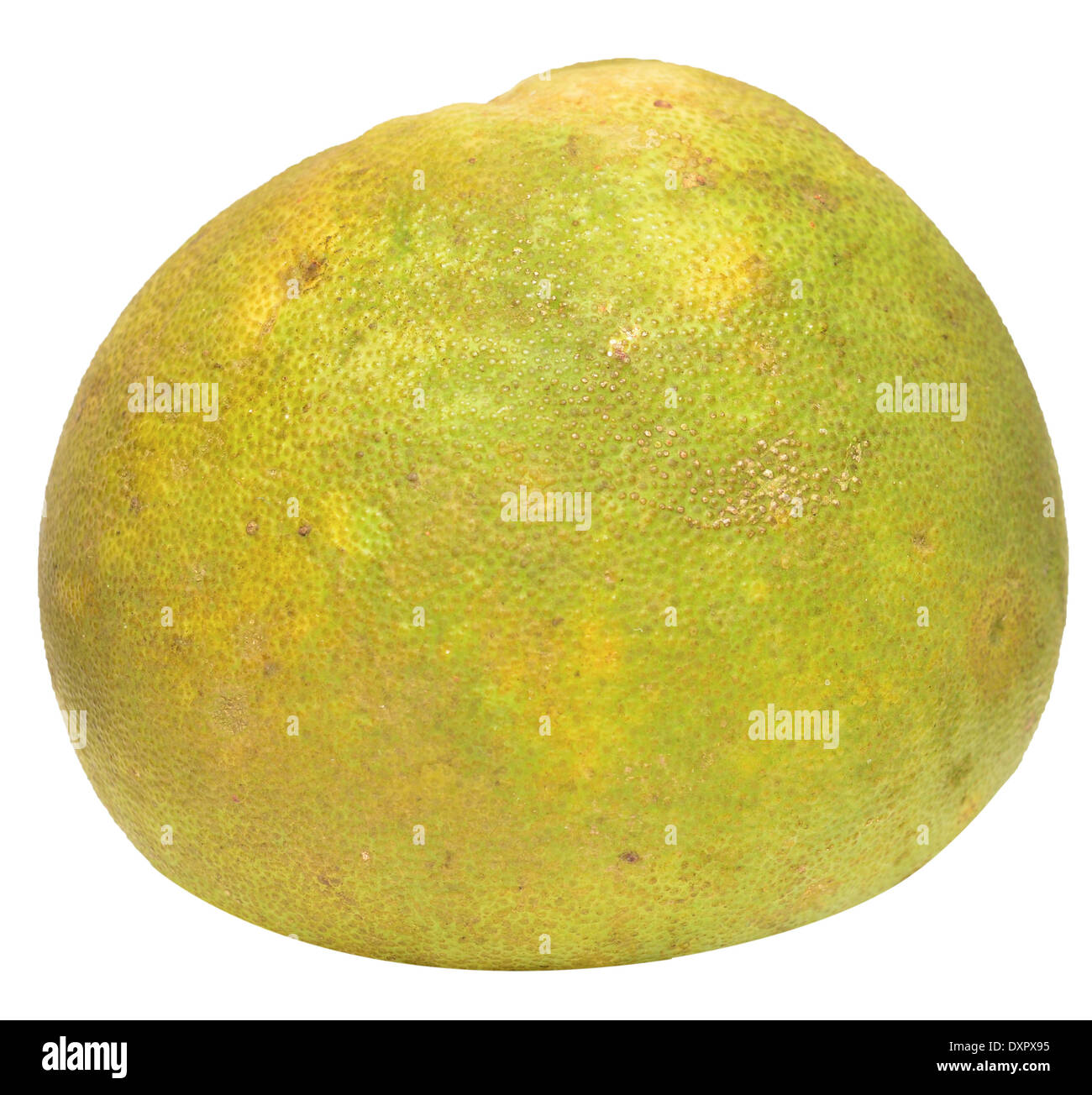 Yellow pomelo on white hi-res stock photography and images - Alamy