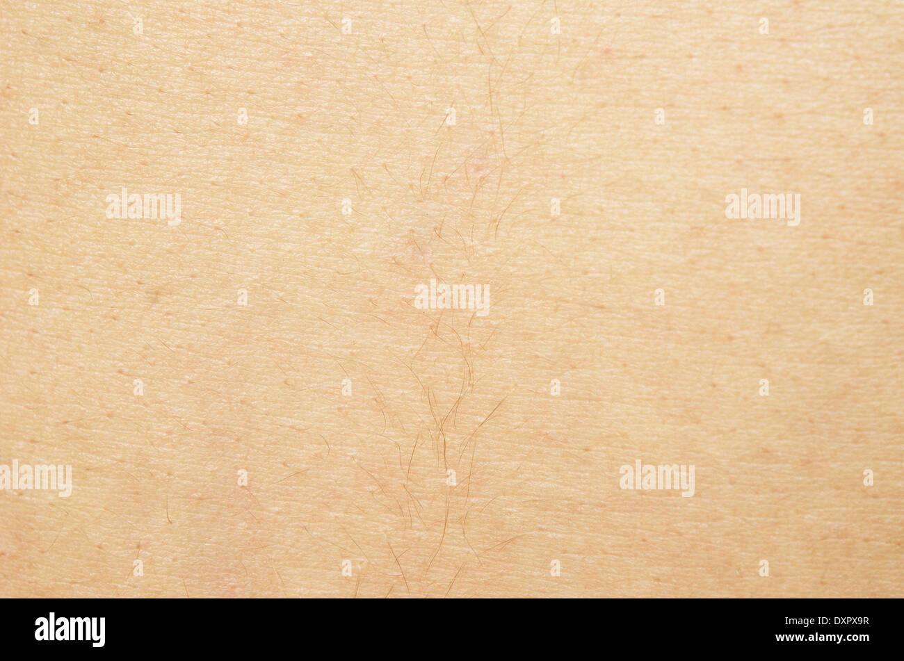 texture of human skin Stock Photo - Alamy