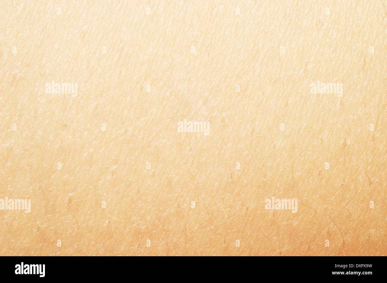 texture of human skin Stock Photo - Alamy