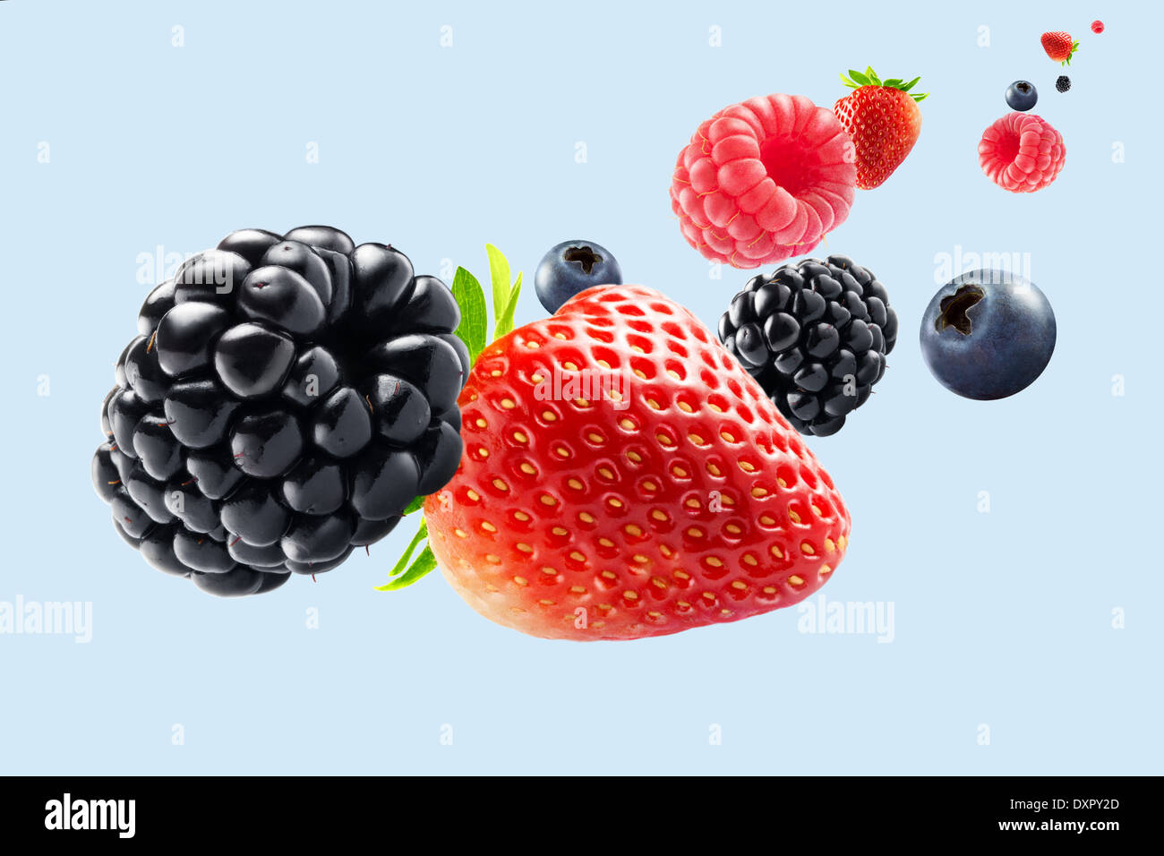 close up view of nice fresh berries on blue background Stock Photo - Alamy