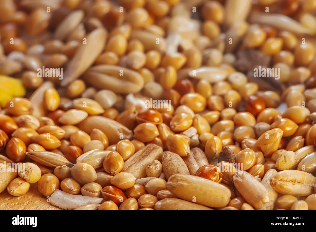 Healthy grains mix hi-res stock photography and images - Alamy