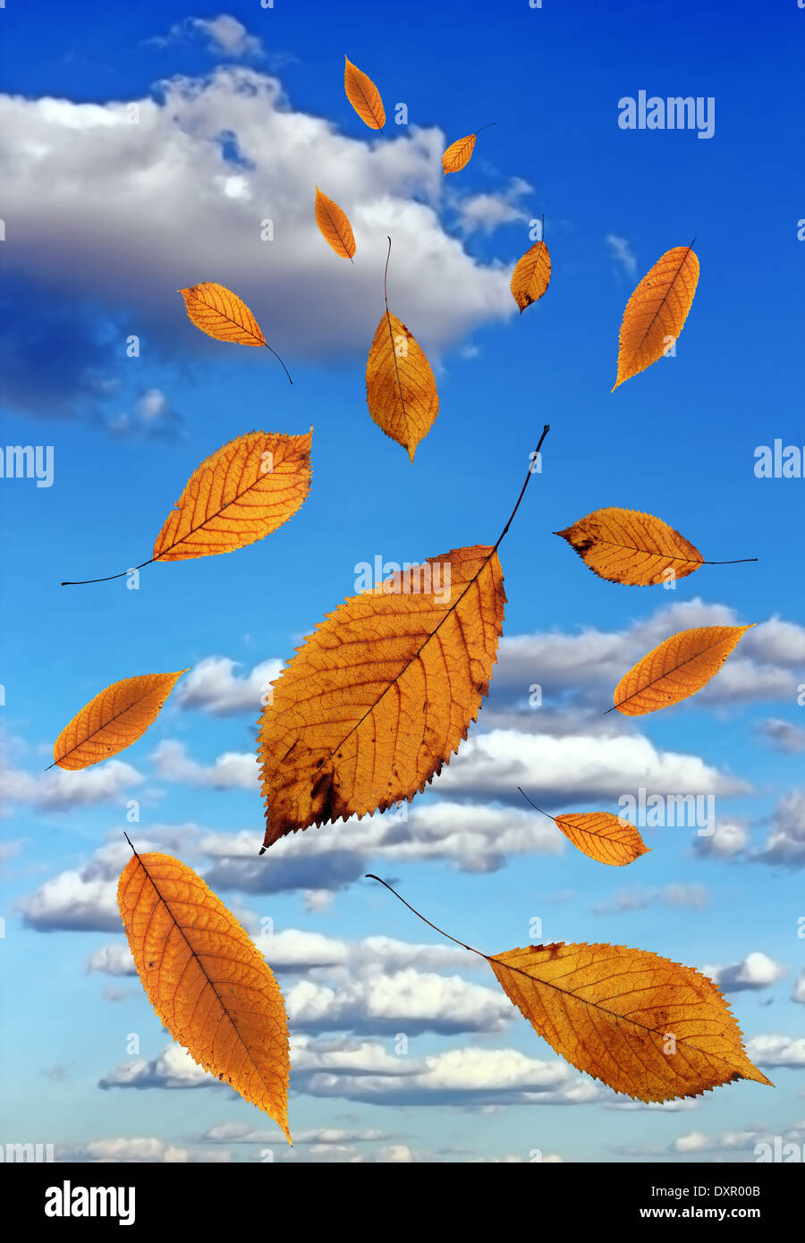 Falling symbol hi-res stock photography and images - Alamy