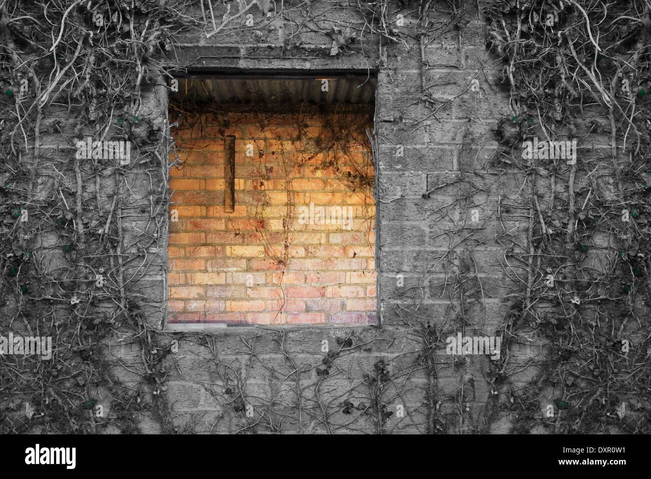 Poor condition of building hi-res stock photography and images - Alamy