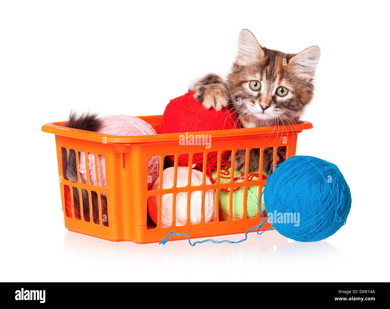 Basket threads Cut Out Stock Images & Pictures - Alamy