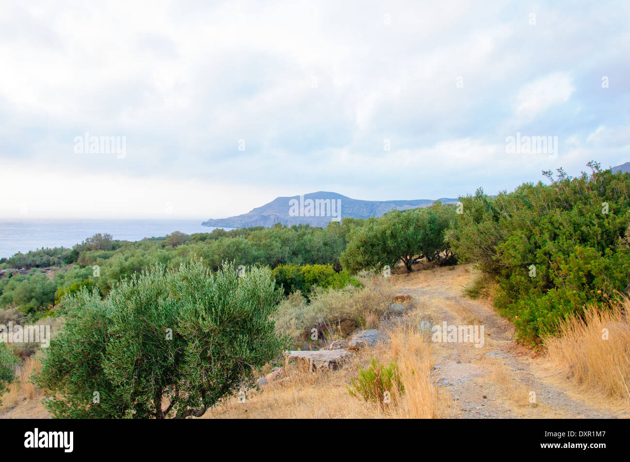 Wide view cretan landscape hi-res stock photography and images - Alamy