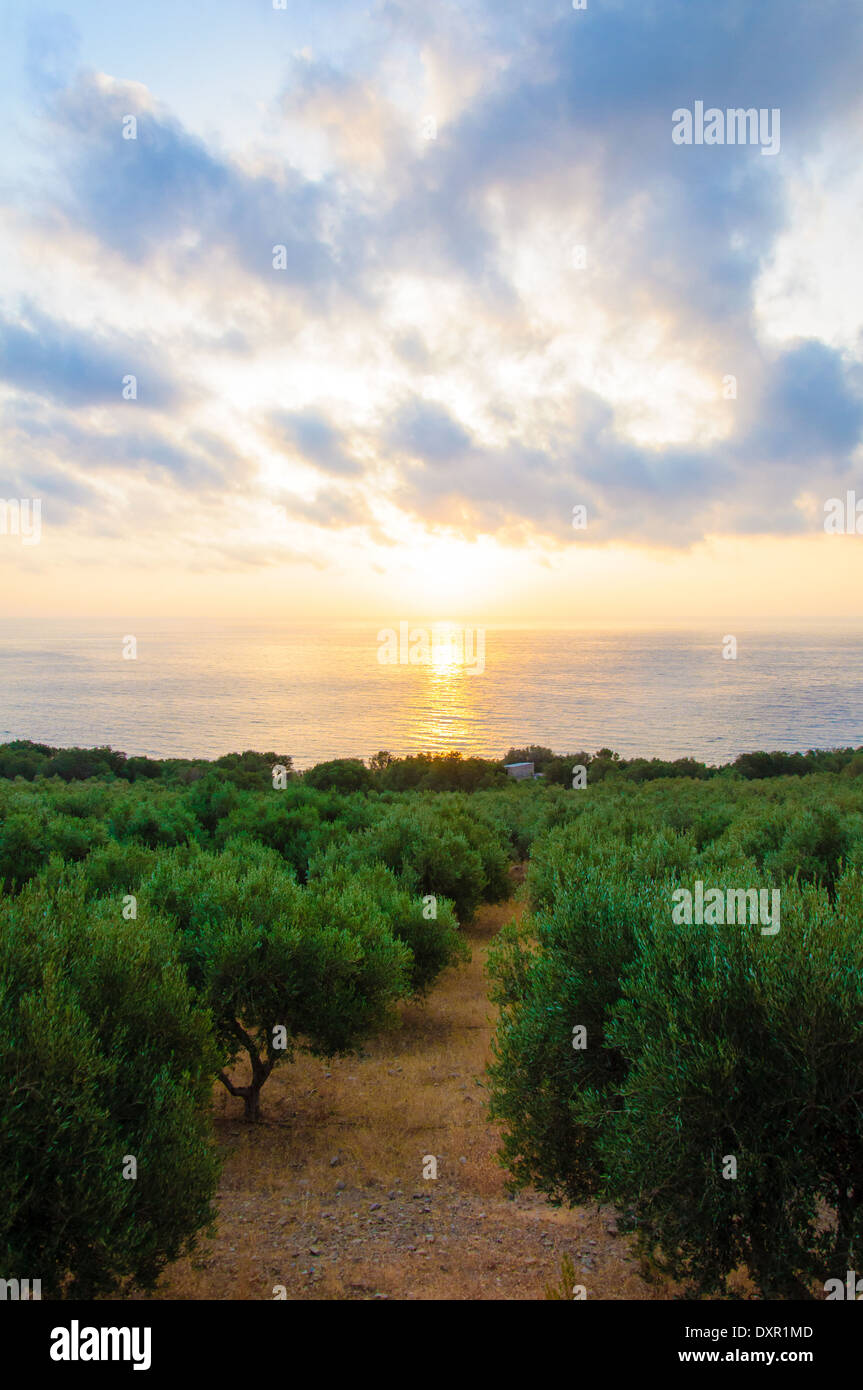 Wide view of a Cretan landscape, island of Crete, Greece Stock Photo ...