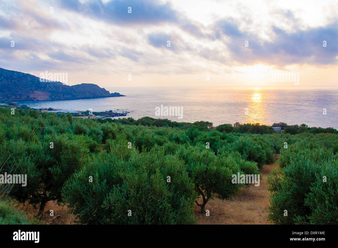 Wide view of a Cretan landscape, island of Crete, Greece Stock Photo ...
