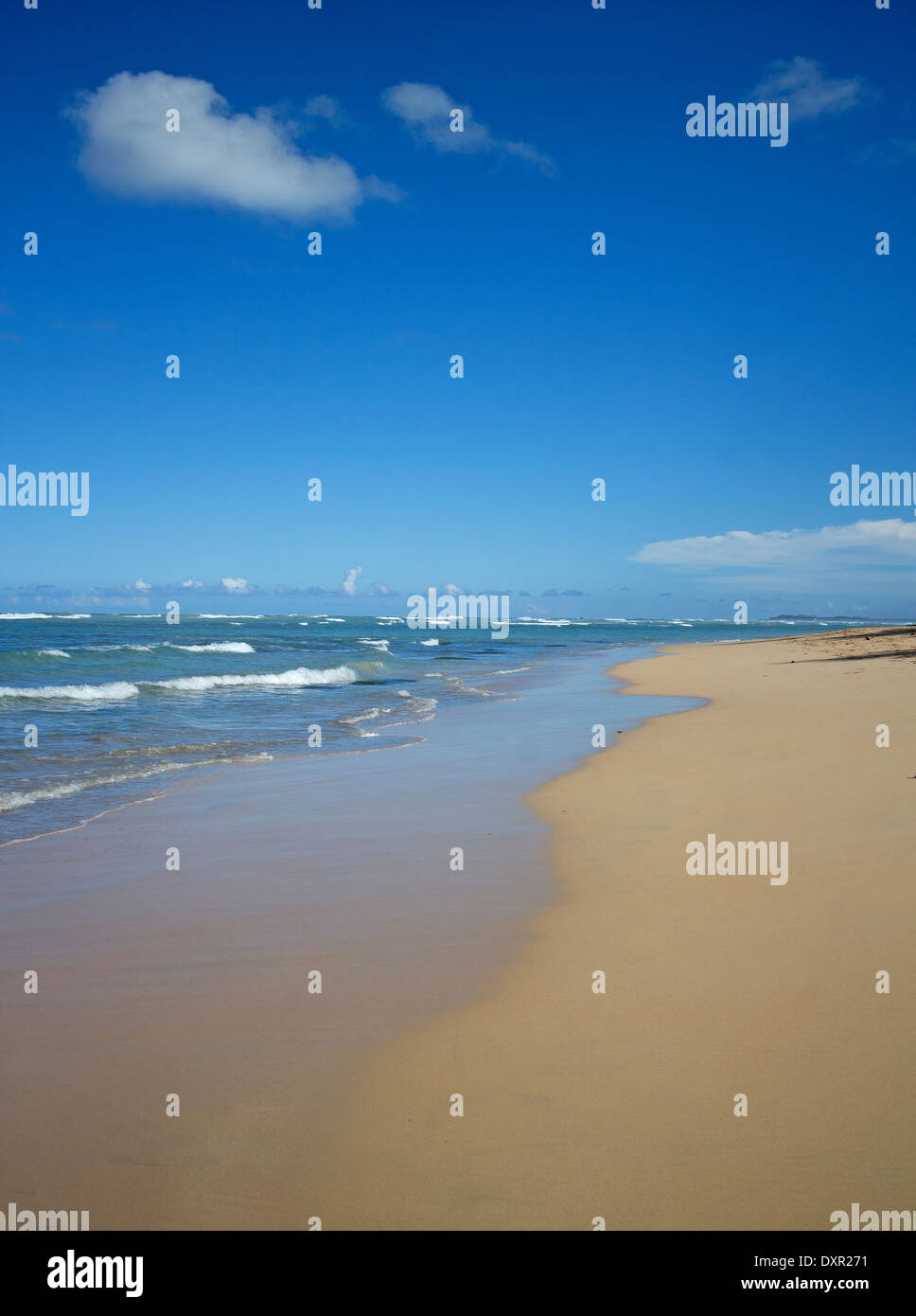 Beach water wave hi-res stock photography and images - Alamy
