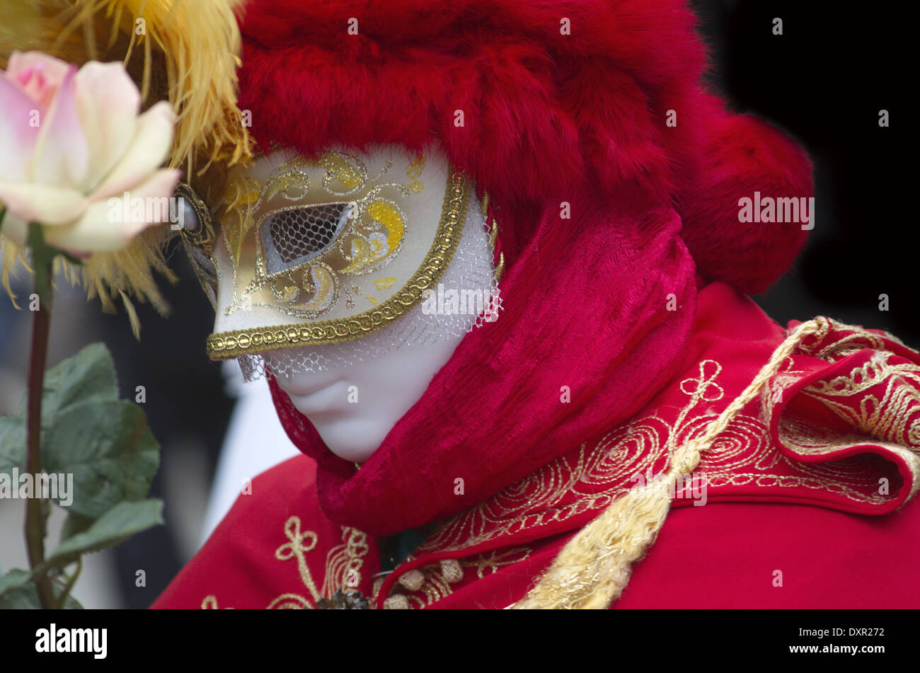 Carnival roses hi-res stock photography and images - Alamy