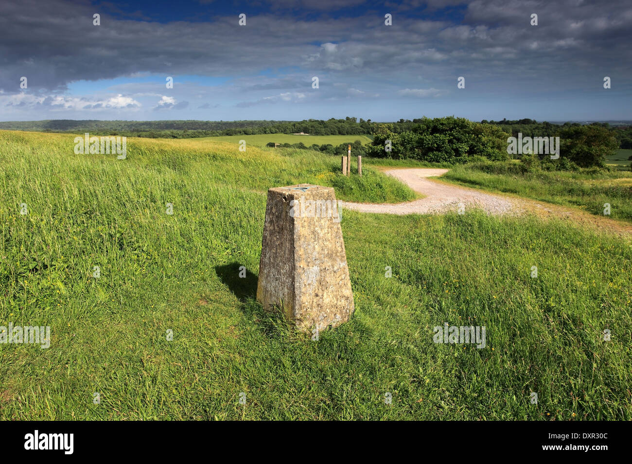 Summer Landscape over Little Down, OS Trig Point, Slindon village ...