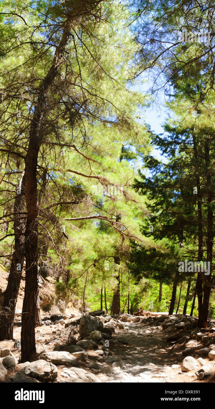 The Samaria Gorge is a National Park of Greece on the island of Crete ...