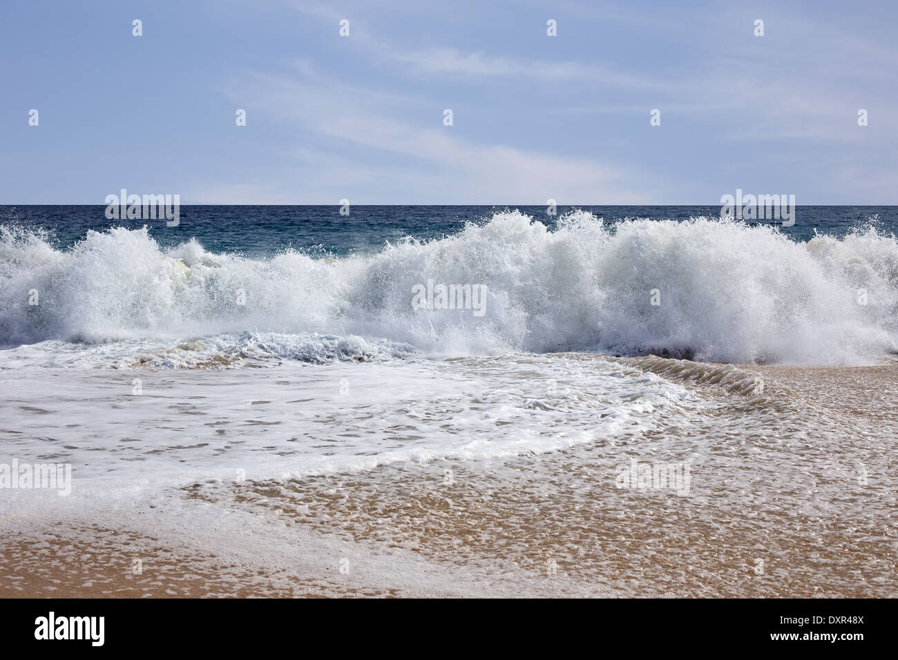 Exotic wave hi-res stock photography and images - Alamy