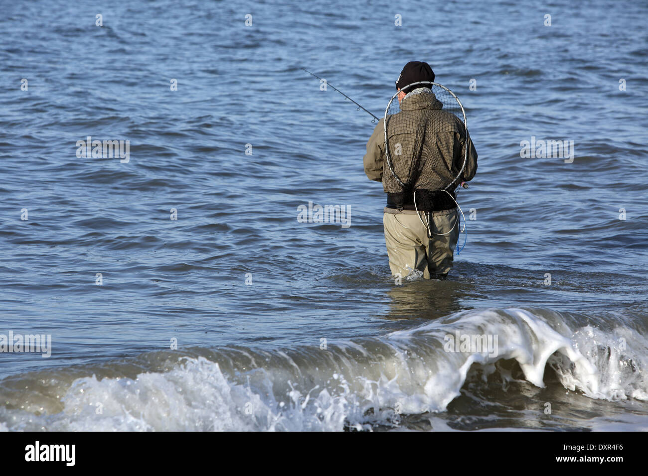 Baltic fisherman hi-res stock photography and images - Alamy