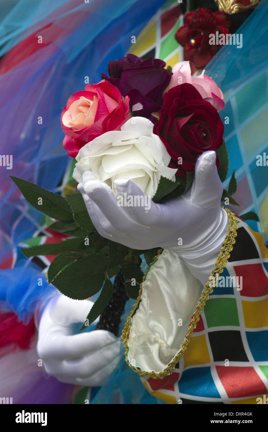 Carnival roses hi-res stock photography and images - Alamy