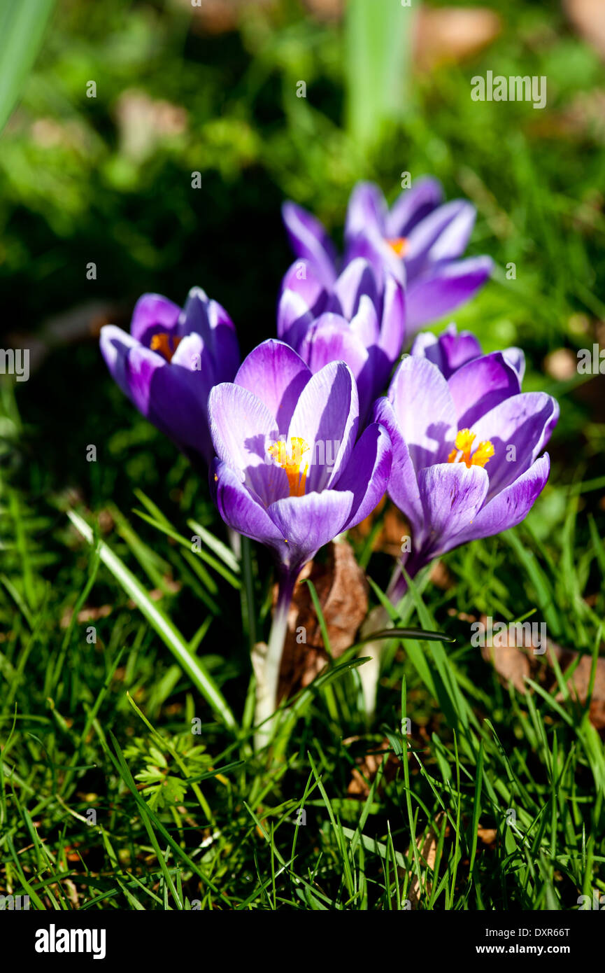 The close of day hi-res stock photography and images - Alamy