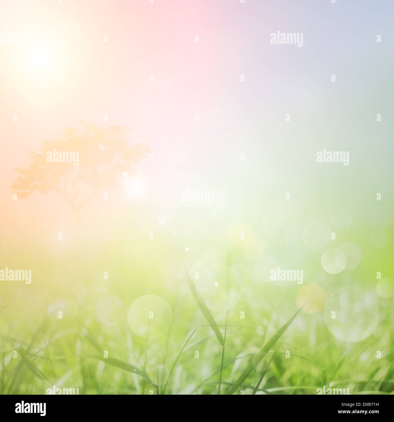 Design background. Spring or summer nature background Stock Photo - Alamy