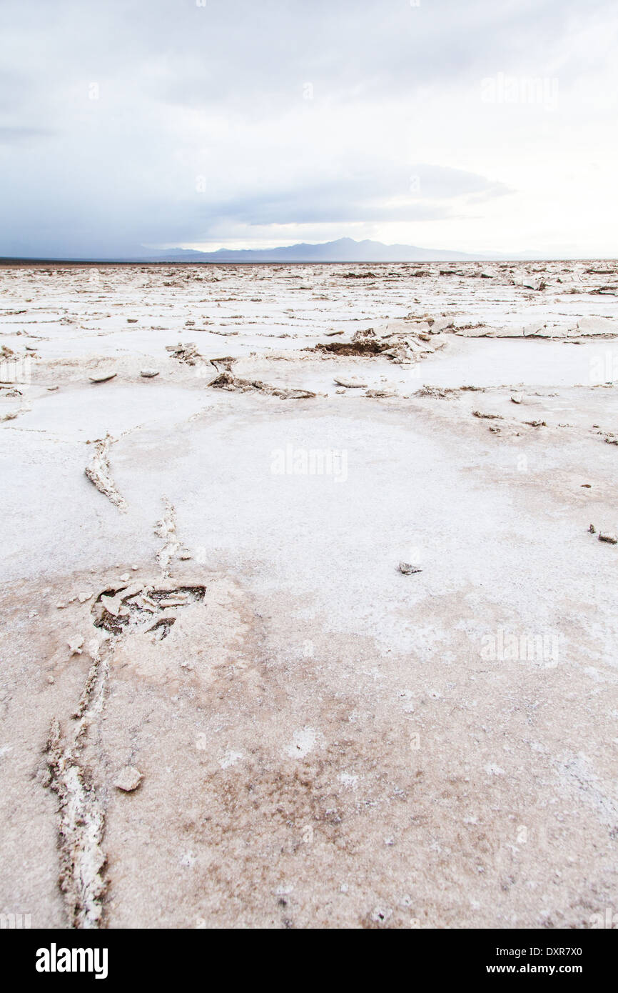 Salt desert close to Amboy, USA. Concept for desertification Stock ...