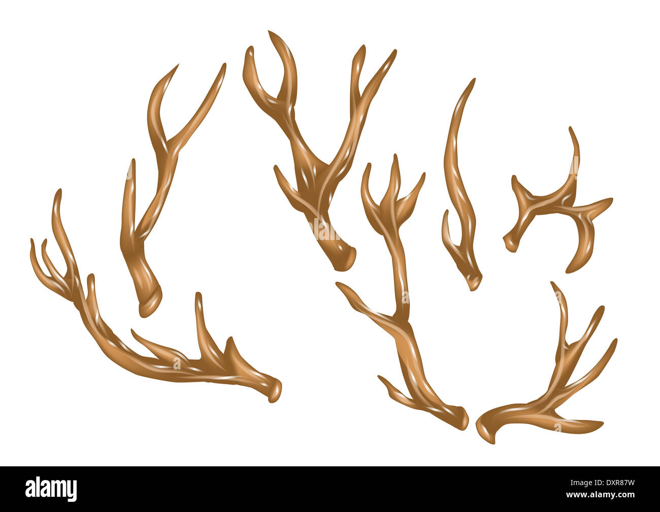 Set Of Antlers Cut Out Stock Images & Pictures - Alamy