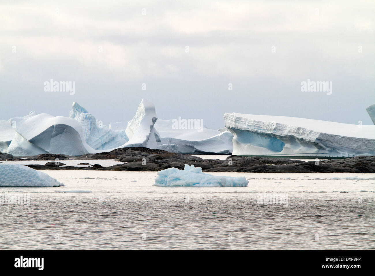 Antarctica landscape of Antarctic iceberg, ice berg, icebergs, glacier ...