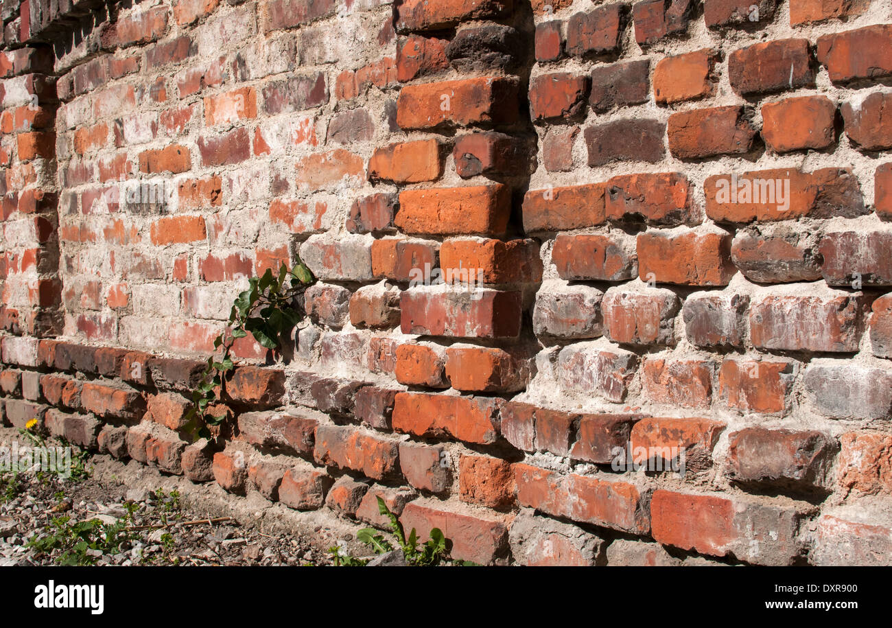 Old weathered brickwall Stock Photo - Alamy