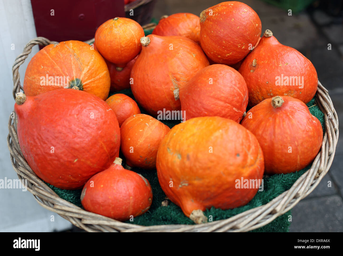 Orange colored pumpking of various size Stock Photo - Alamy