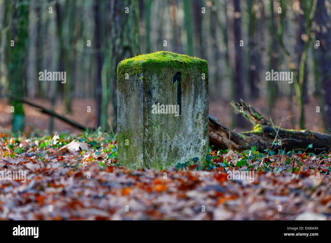 Berlin, Germany, remains Stahnsdorfer graveyard orbit Stock Photo - Alamy