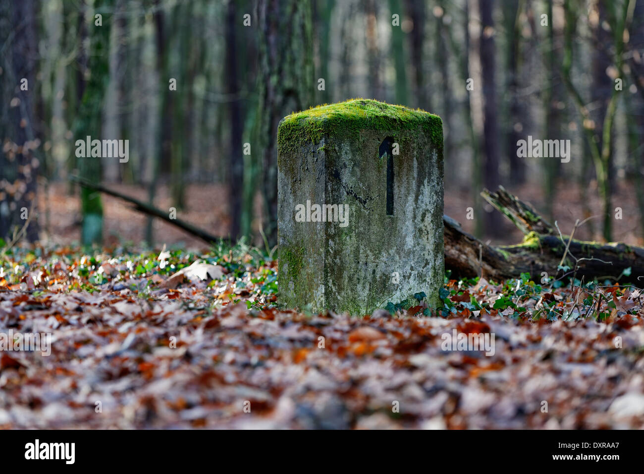 Berlin, Germany, remains Stahnsdorfer graveyard orbit Stock Photo - Alamy