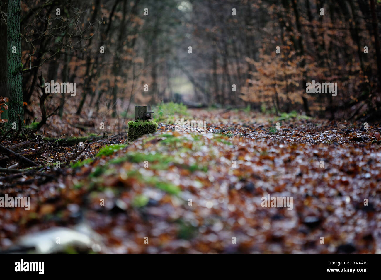 Berlin, Germany, remains Stahnsdorfer graveyard orbit Stock Photo - Alamy