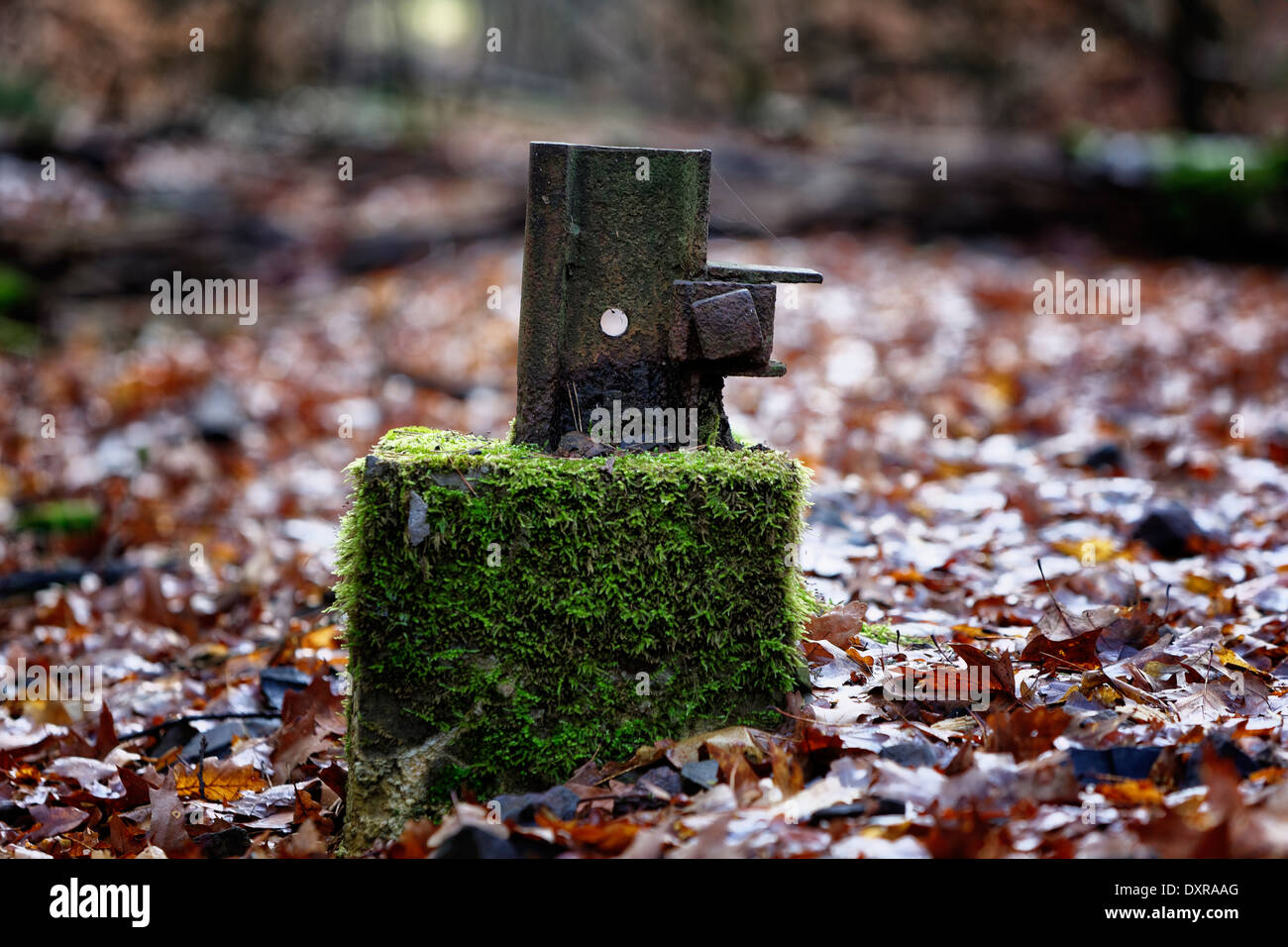 Berlin, Germany, remains Stahnsdorfer graveyard orbit Stock Photo - Alamy