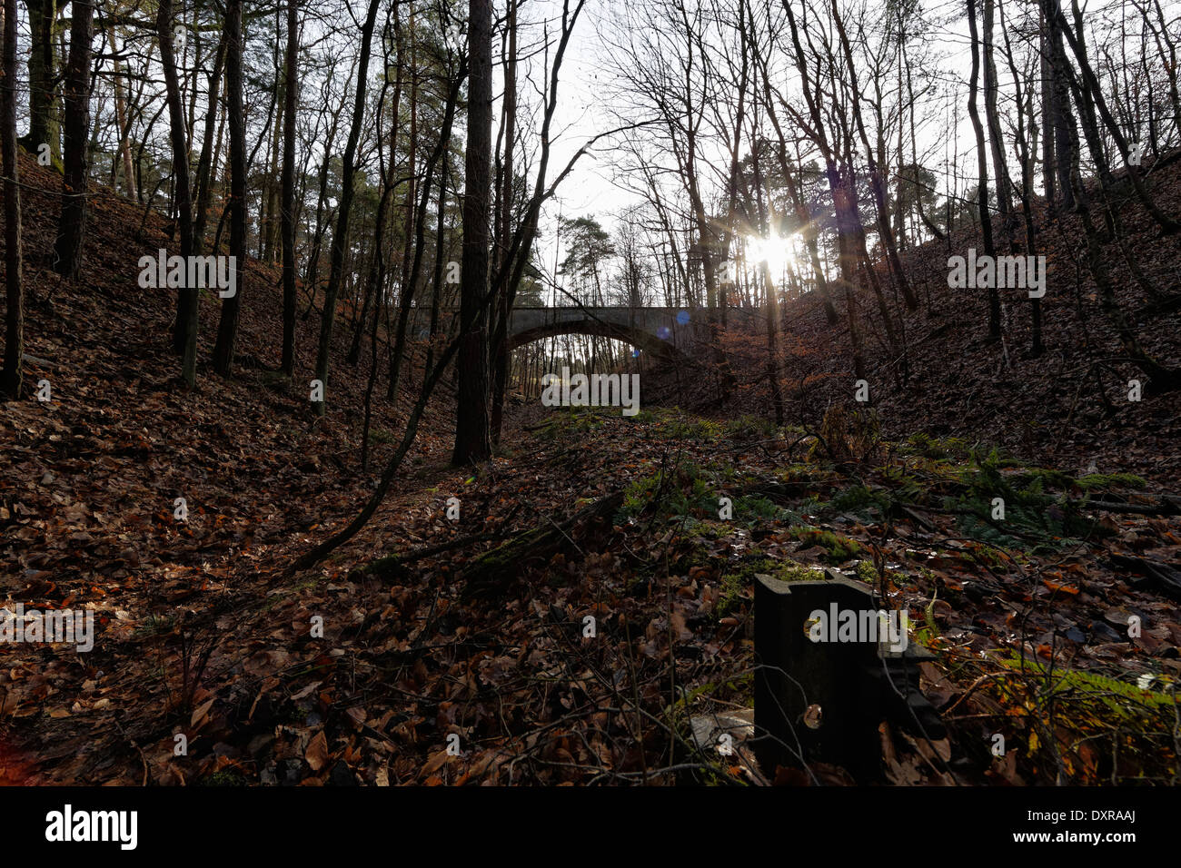 Berlin, Germany, remains Stahnsdorfer graveyard orbit Stock Photo - Alamy