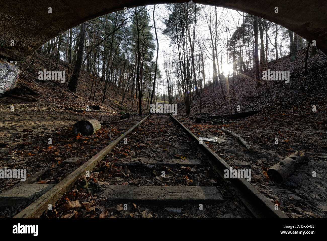 Berlin, Germany, remains Stahnsdorfer graveyard orbit Stock Photo - Alamy