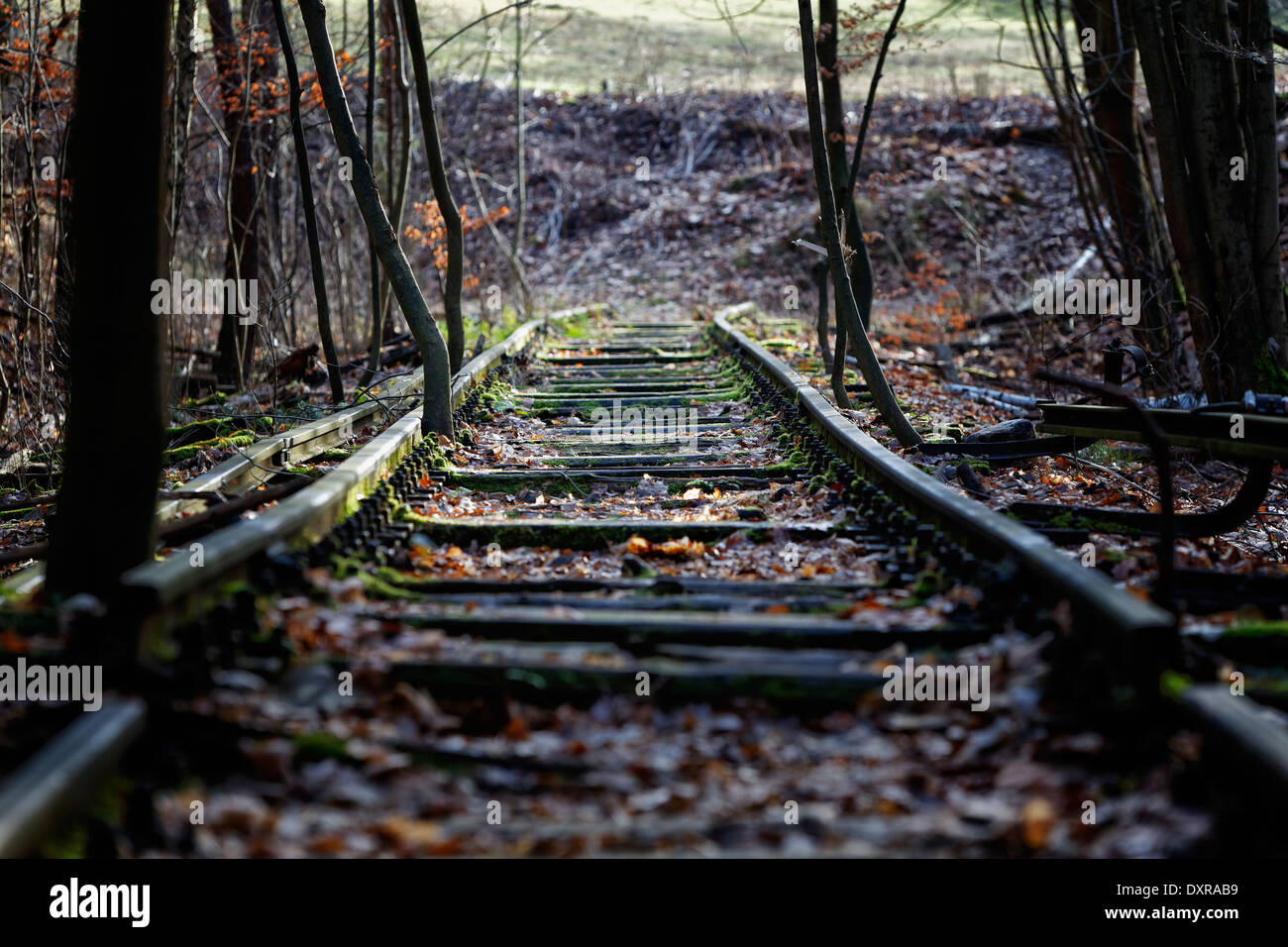 Berlin, Germany, remains Stahnsdorfer graveyard orbit Stock Photo - Alamy