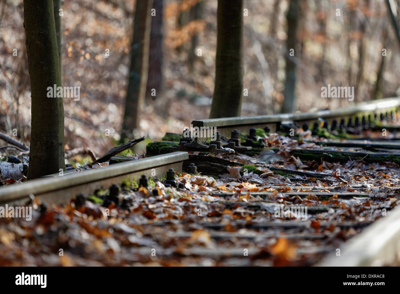 Berlin, Germany, remains Stahnsdorfer graveyard orbit Stock Photo - Alamy
