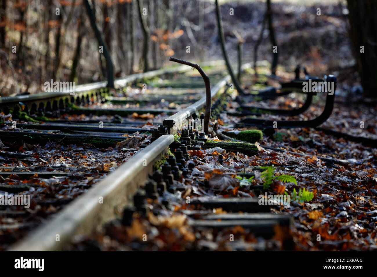 Berlin, Germany, remains Stahnsdorfer graveyard orbit Stock Photo - Alamy