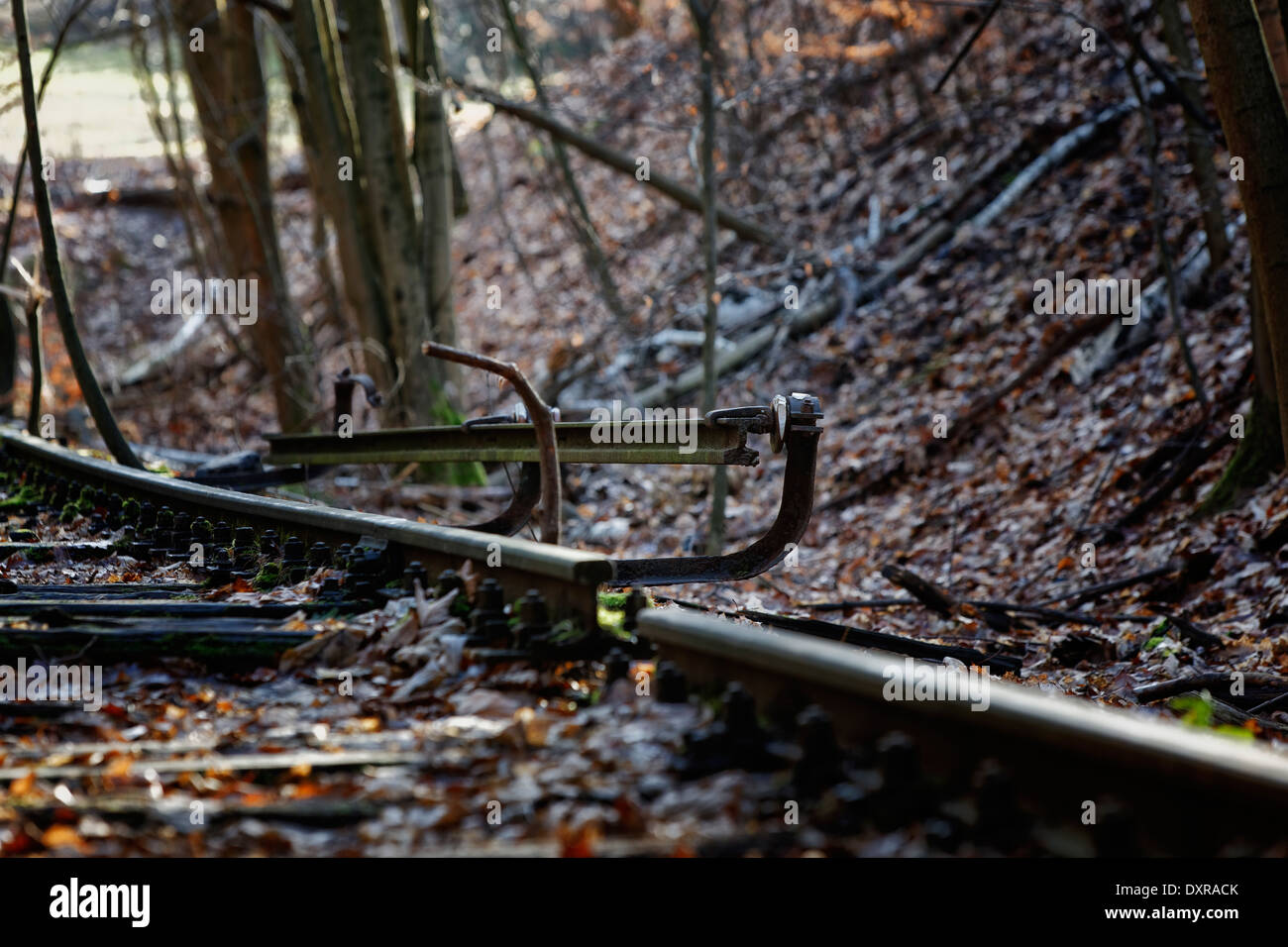 Berlin, Germany, remains Stahnsdorfer graveyard orbit Stock Photo - Alamy
