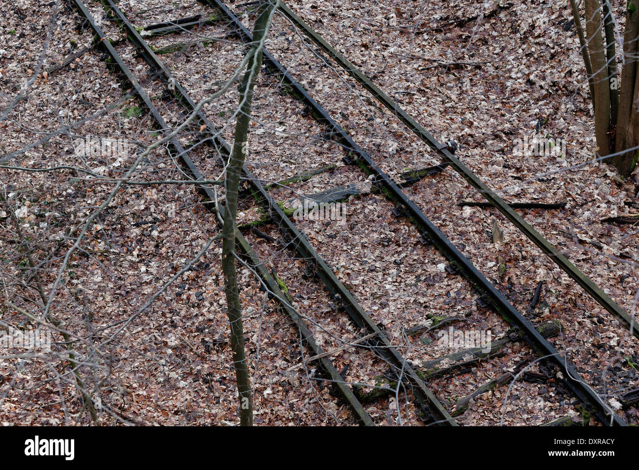 Berlin, Germany, remains Stahnsdorfer graveyard orbit Stock Photo - Alamy