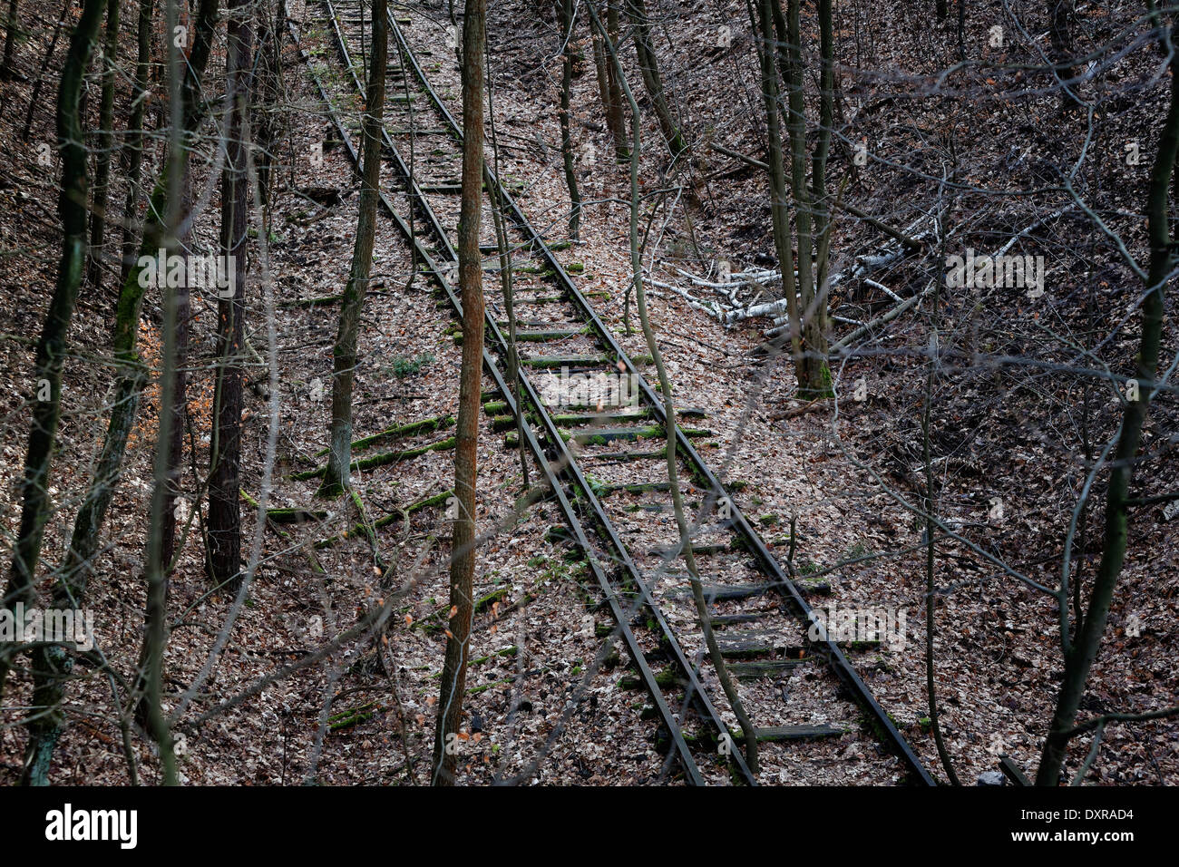 Berlin, Germany, remains Stahnsdorfer graveyard orbit Stock Photo - Alamy