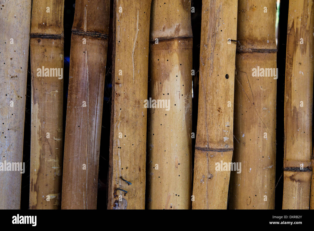 photography of natural bambu texture Stock Photo - Alamy