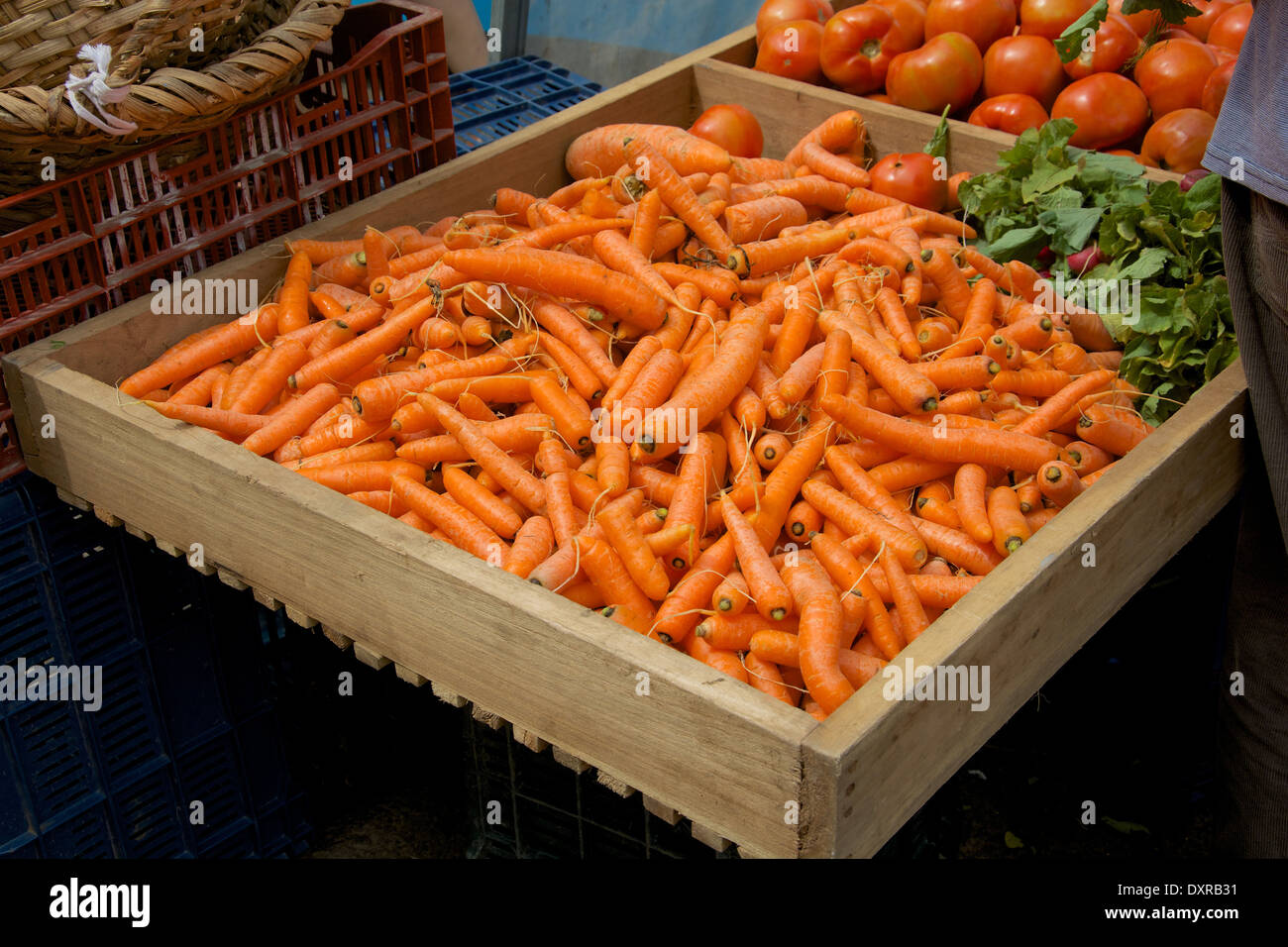 Stacked up and placed on a wooden stand slim carrots at the Organic ...