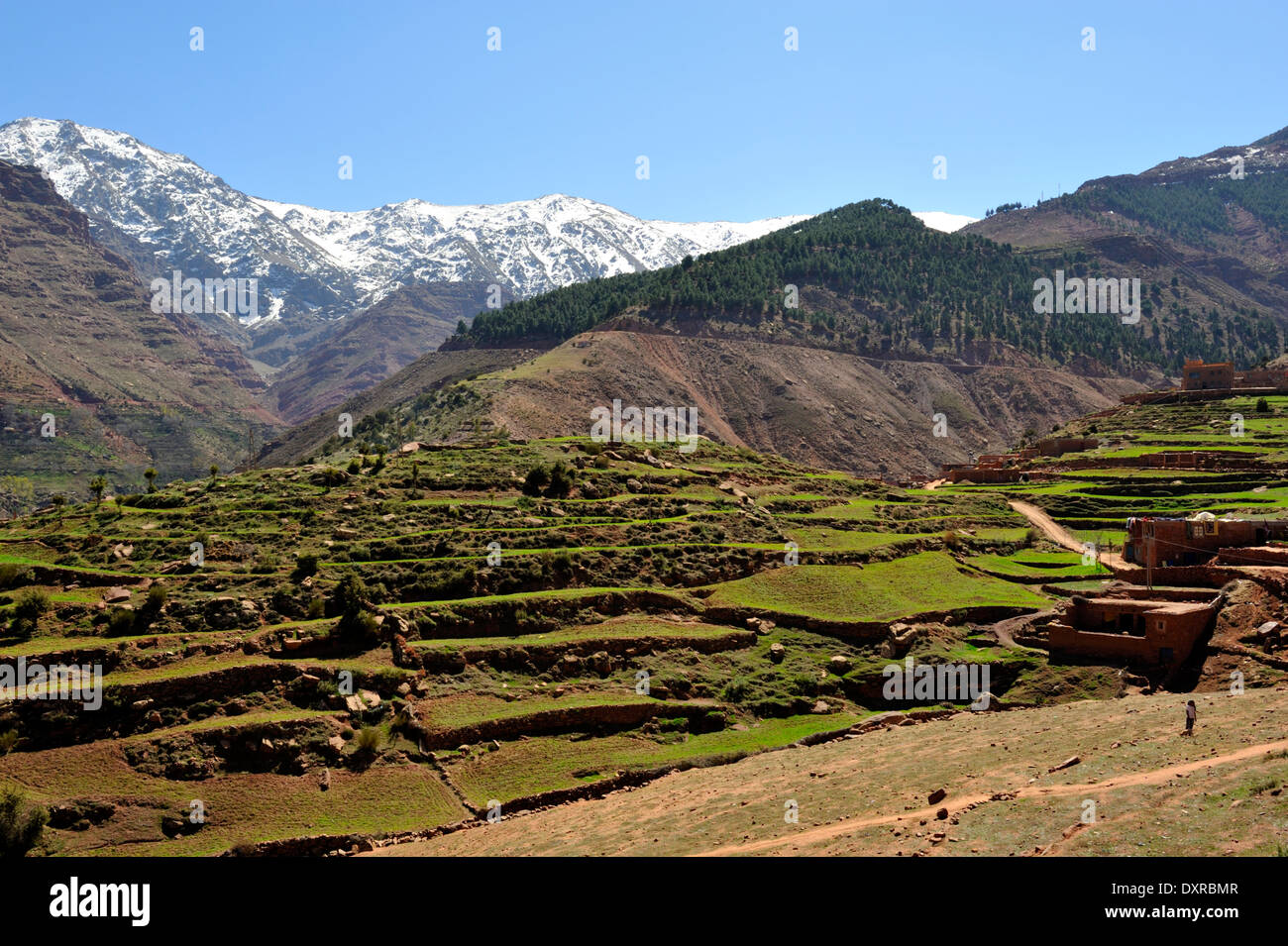 Terracing agriculture hi-res stock photography and images - Alamy