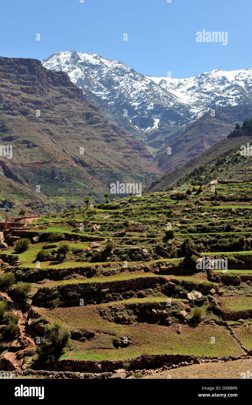 Terracing agriculture hi-res stock photography and images - Alamy