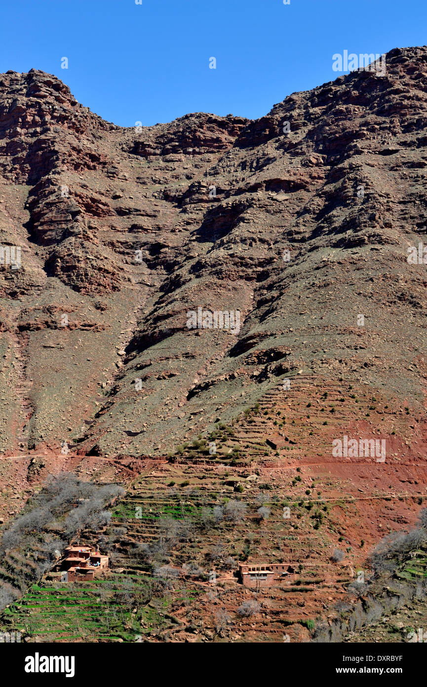 Terrace farming steep hi-res stock photography and images - Alamy