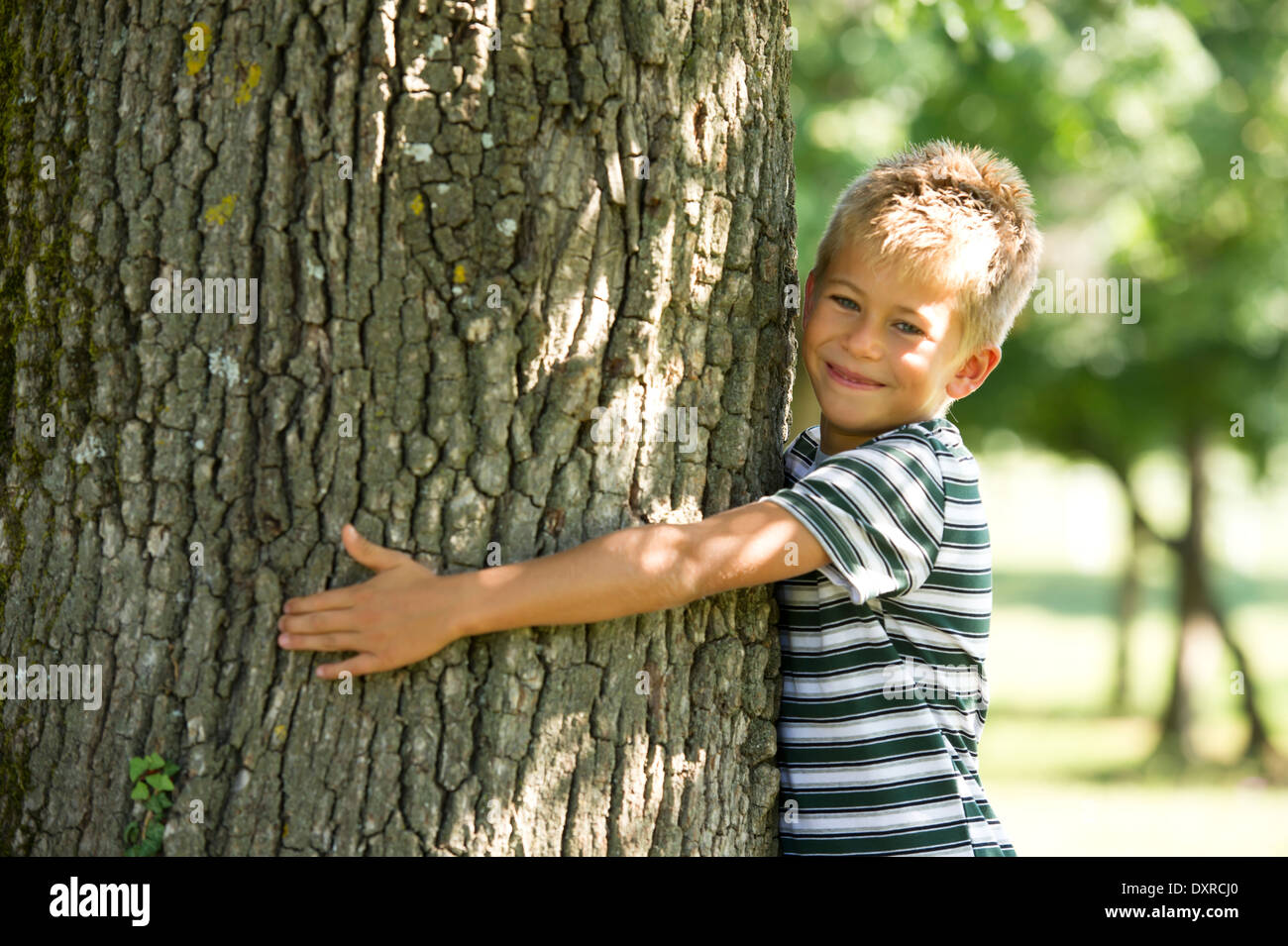 Young boy hugging a tree Stock Photo - Alamy