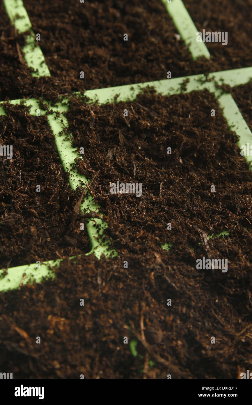 Seed modules hi-res stock photography and images - Alamy