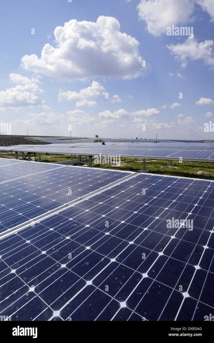 Solar panels lined up at Serpa Solar Power plant in Serpa, 200 Km ...